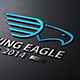 Flying Eagle Logo, Logo Templates | GraphicRiver