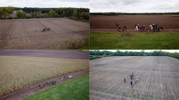 Horse Riding Aerial Shots (4 Pack), Stock Footage | VideoHive