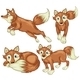 Four Foxes, Vectors | GraphicRiver