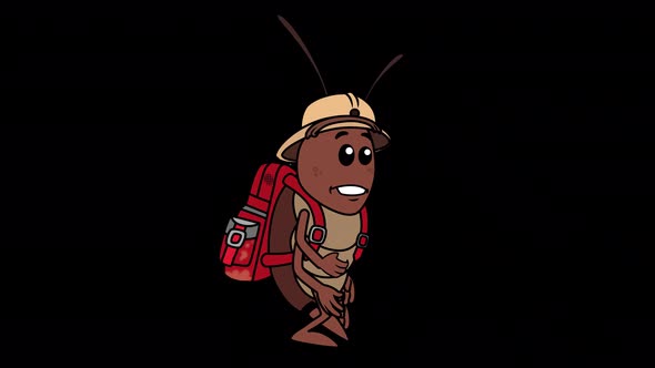 Cartoon Bug Running, Motion Graphics | VideoHive