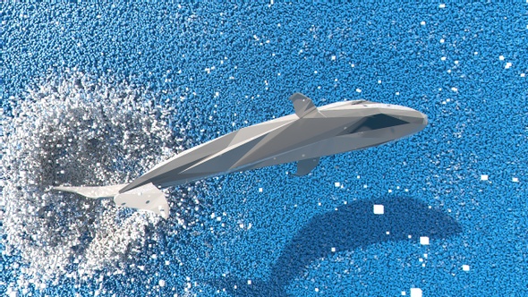 Splashing Whale Shot 03, Motion Graphics | VideoHive