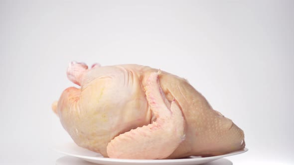 Chilled carcass of homemade chicken rotates on a white background ...