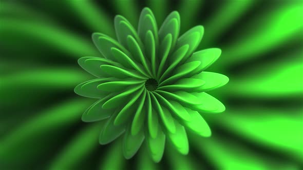 Beautiful 3d flower rotating in center, Motion Graphics | VideoHive