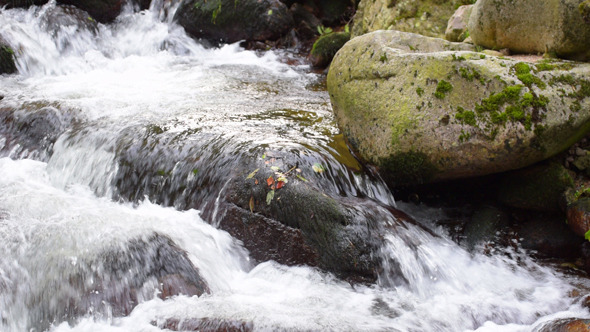 River, Stock Footage | VideoHive
