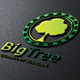 Big Tree V.3, Logo Templates | GraphicRiver