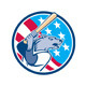 Wolf Baseball with Bat USA Stars Circle, Vectors | GraphicRiver