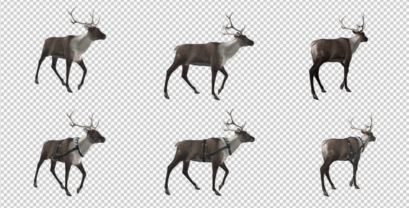Reindeer - Walk - Pack of 6, Motion Graphics | VideoHive