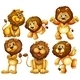 Lion Set, Vectors | GraphicRiver
