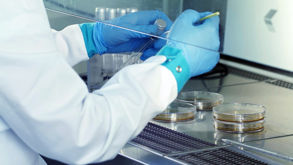 Medical Laboratory Analysis, Stock Footage | VideoHive