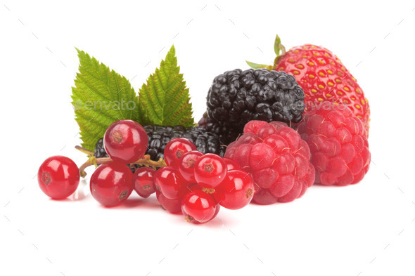 berries Stock Photo by pioneer111 | PhotoDune