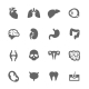 Organ Icons by davooda | GraphicRiver