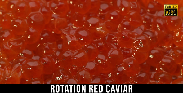 Red Caviar 2, Stock Footage | VideoHive