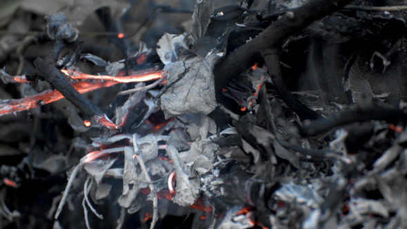 Fire is Extinguished, Stock Footage | VideoHive