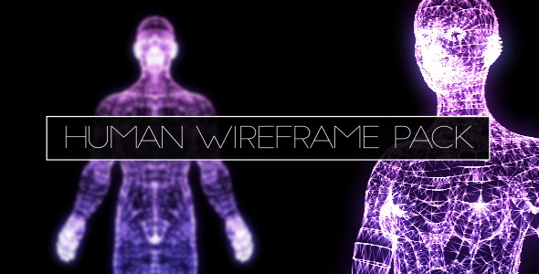 Human Wireframe Pack, Motion Graphics | VideoHive