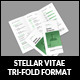 Stellar Tri-fold Resume CV, Print Templates | GraphicRiver