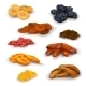 Dried Fruit Icons Set, Vectors | GraphicRiver