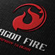 Dragon Fire, Logo Templates | GraphicRiver