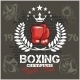 Boxing labels and icons set. Vector illustration., Vectors | GraphicRiver