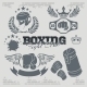 Boxing Labels and Icons Set, Vectors | GraphicRiver