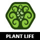 Plant Life Logo Template by maraz2013 | GraphicRiver