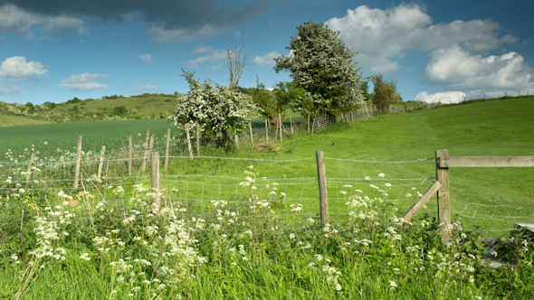 England Countryside Rural Summer Field 8, Stock Footage | VideoHive