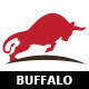 Buffalo Logo Template, Logo Templates | GraphicRiver