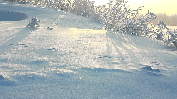 Sun Rising - Winter Morning Landscape, Stock Footage | VideoHive