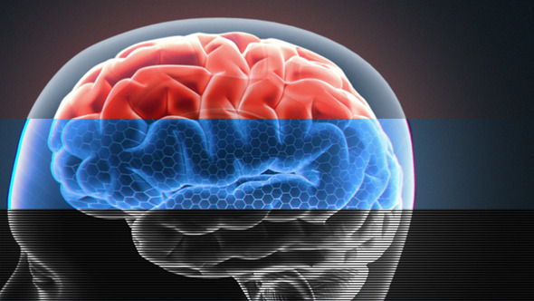 Journey Into The Male Brain, Motion Graphics | VideoHive