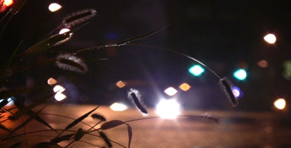 Rainy Night Road - HD, Stock Footage | VideoHive