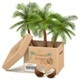 Vector Palm Tree in Box, Vectors | GraphicRiver