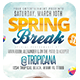 Spring Break or Beach Party Flyer + FB Cover, Print Templates ...