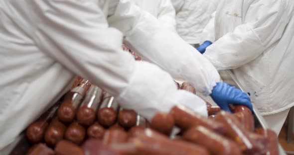 Meat Production, Woman Workers in Protective Uniforms Pack and Stack ...