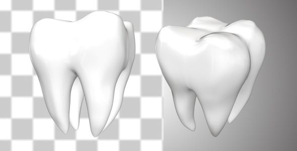 Tooth Rotate, Motion Graphics | VideoHive