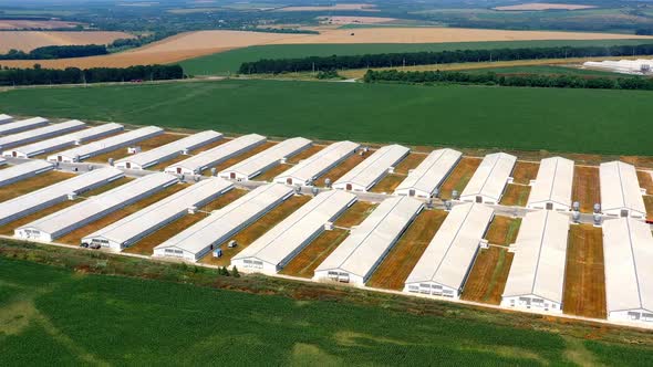 Aerial view of new modern poultry farms, Stock Footage | VideoHive