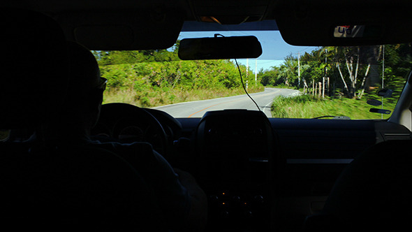 Driving A Car On Rural Road With Lot Of Green Tree, Stock Footage ...