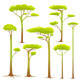 Cartoon Trees Collection Drawing, Vectors | GraphicRiver