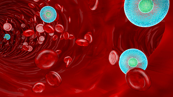 Blood Cells Flowing, Motion Graphics | VideoHive