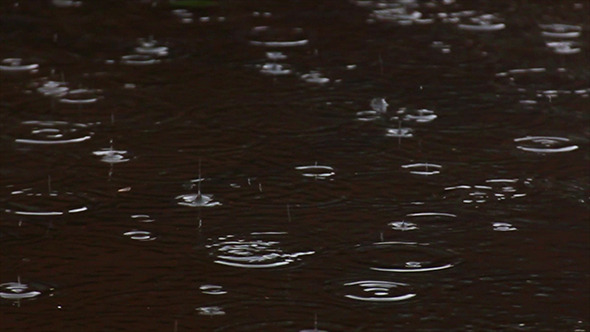 Heavy Rain Drops, Stock Footage | VideoHive