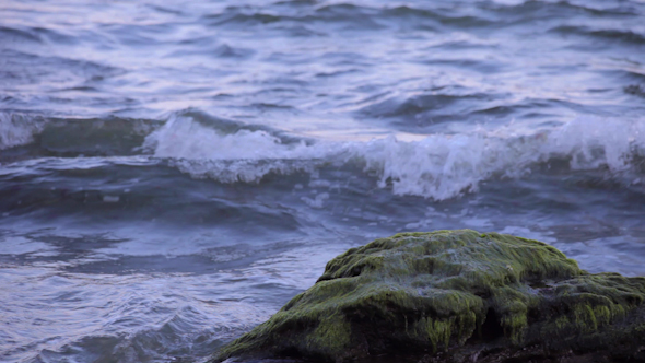 Karadere Beach 12, Stock Footage | VideoHive