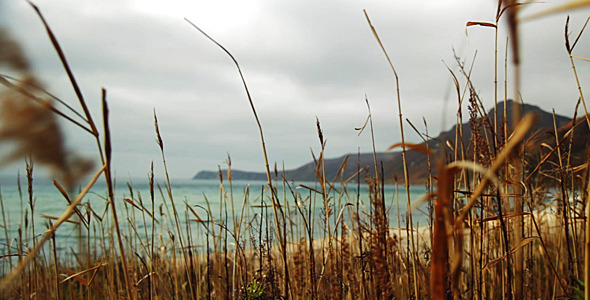 Autumn Sea, Stock Footage | VideoHive