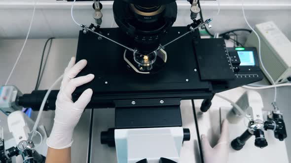 Lab Worker Is Regulating a Microscope During Research, Stock Footage