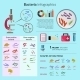 Bacteria Infographic Set, Infographics | GraphicRiver