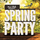Spring Party Flyer , Print Templates | GraphicRiver