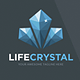 Life Crystal Logo Template, Logo Templates | GraphicRiver
