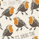 Robin Pattern, Vectors | GraphicRiver