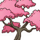 Sakura Trees, Vectors | GraphicRiver