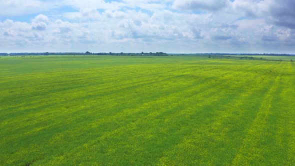Flying Over The Field, Stock Footage | VideoHive