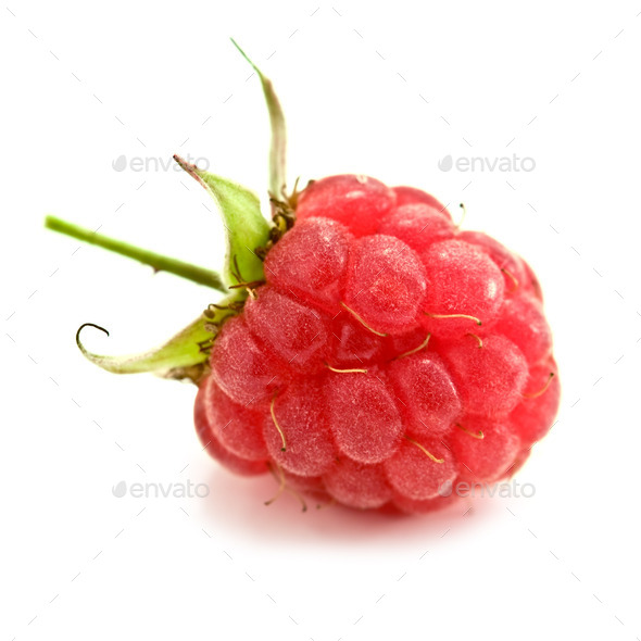 raspberry Stock Photo by ivankmit | PhotoDune