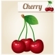 Cherry. Detailed Vector Icon. , Vectors | GraphicRiver