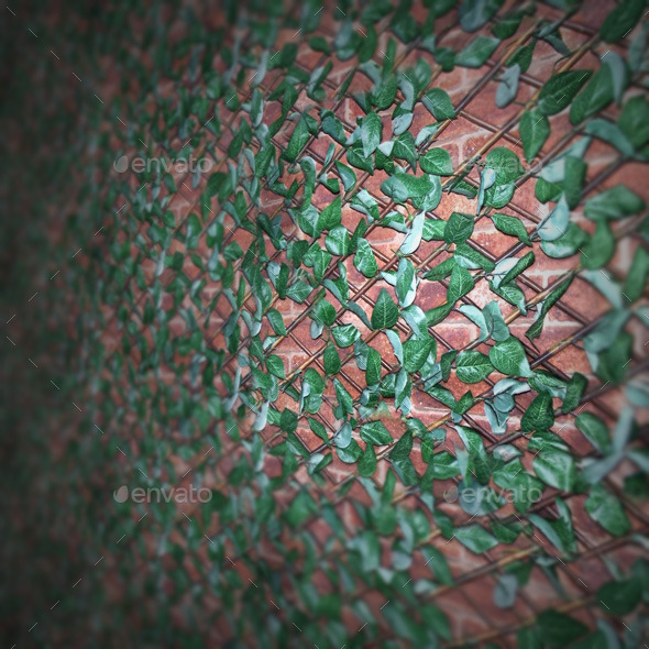 Leafy Wall Trellis Seamless Texture by Lucky_Fingers | 3DOcean
